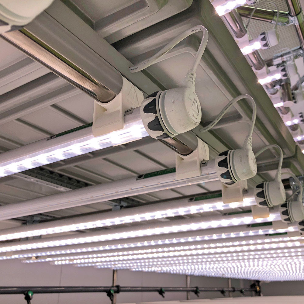 Spectron TLED lamps GB Spectrum – V Farm