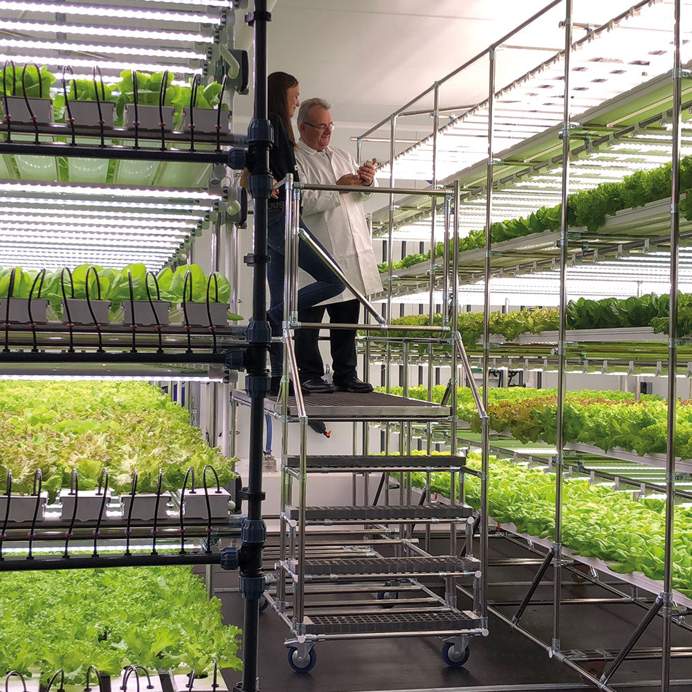 VF5226 - Harvest ladder – V Farm